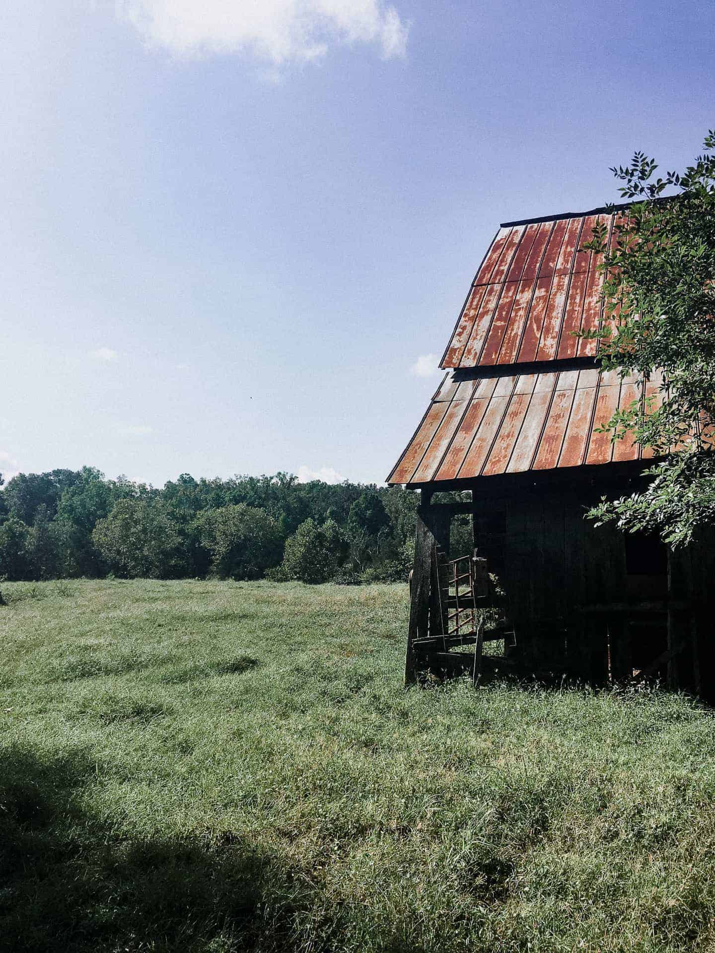 About | Little Spoon Farm