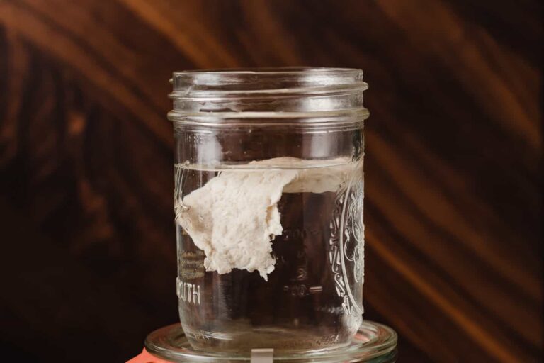 Signs that your sourdough starter is ready to bake with - Little Spoon Farm