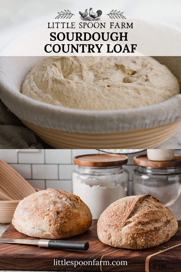 Sourdough Country Loaf Bread Recipe - Little Spoon Farm