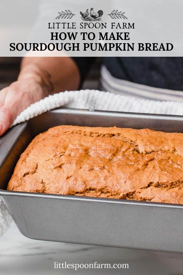 Sourdough Pumpkin Bread - Little Spoon Farm