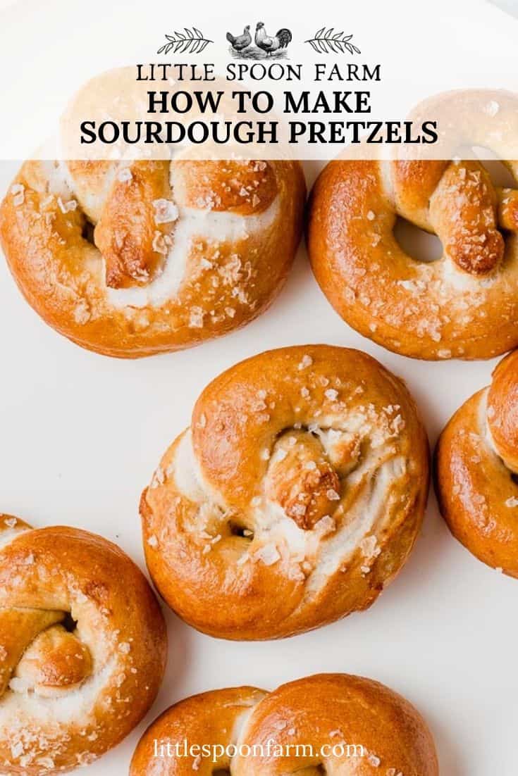 Soft Sourdough Pretzels Recipe - Easy Overnight! - Little Spoon Farm
