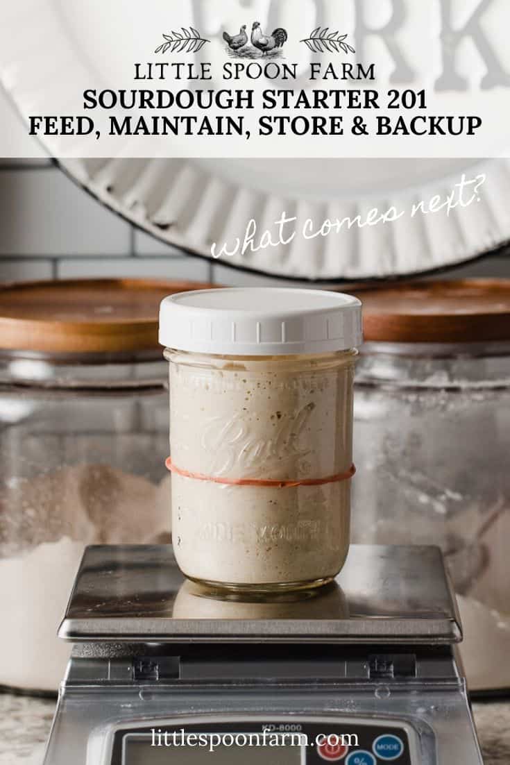 Sourdough Starter Recipe Little Spoon Farm at William Foxworth blog