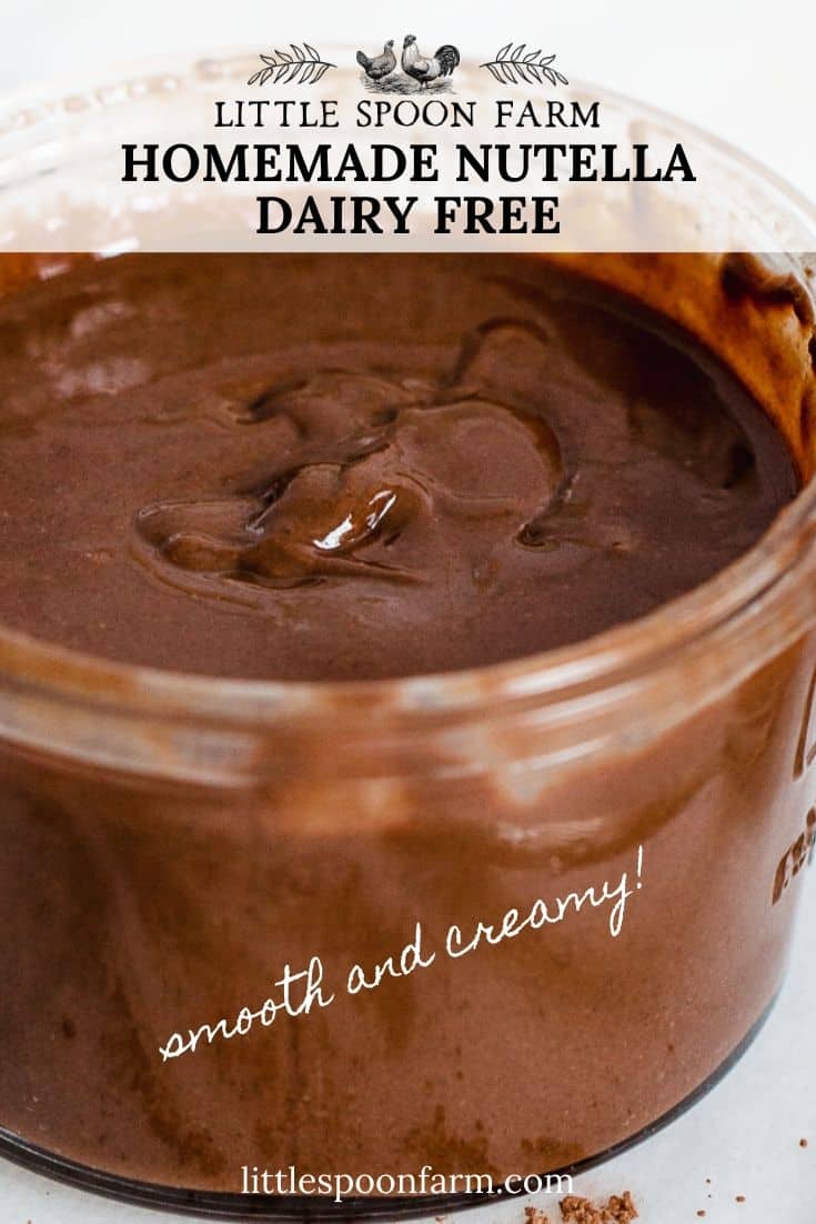 Homemade Nutella (Paleo, Vegan, Dairy Free) - Little Spoon Farm