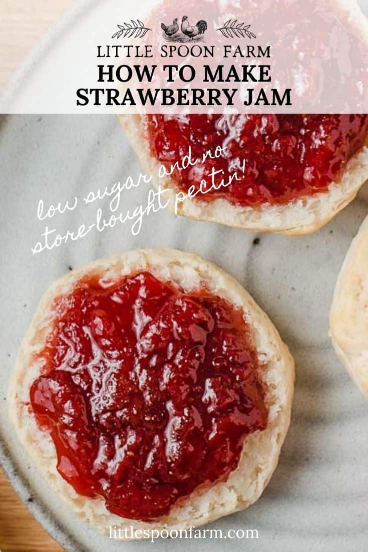 Strawberry Jam Recipe (No Pectin and Low Sugar) - Little Spoon Farm