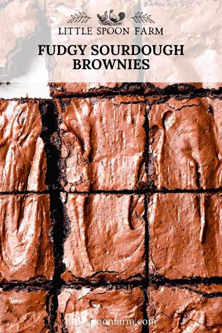 Sourdough Starter Recipe Little Spoon Farm at William Foxworth blog