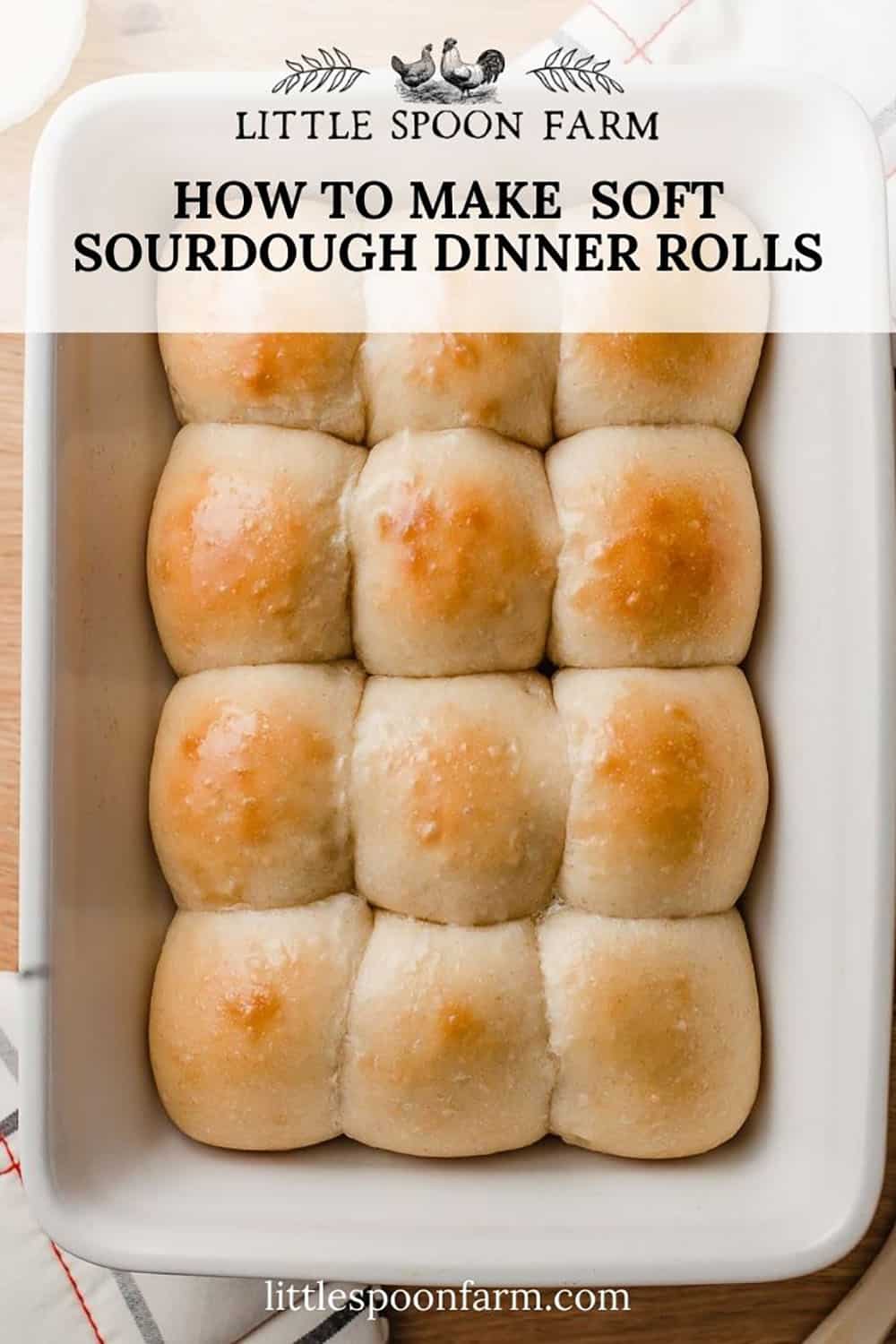 Soft Sourdough Dinner Rolls Recipe - Little Spoon Farm
