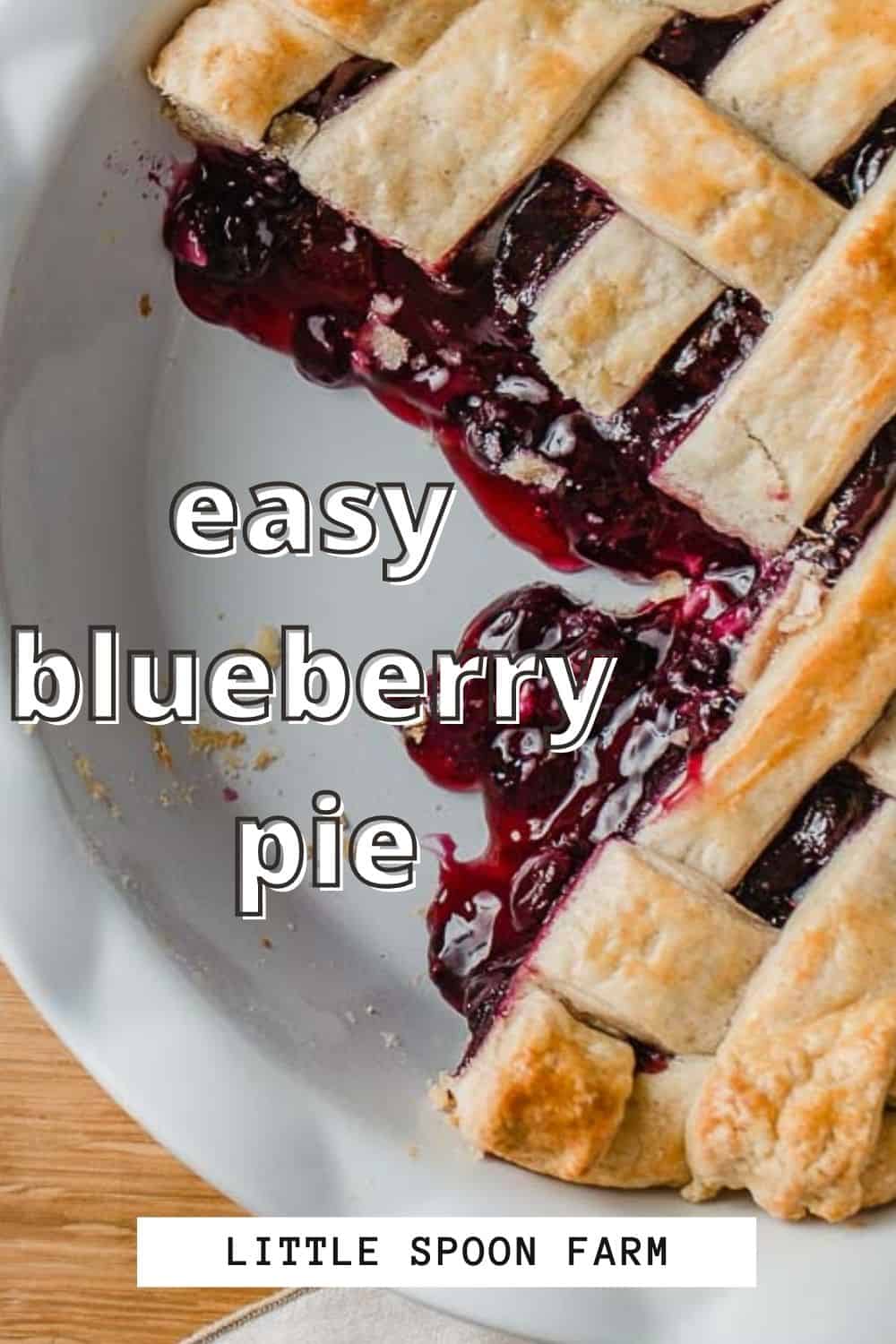 Easy Blueberry Pie (Classic Recipe) | Little Spoon Farm