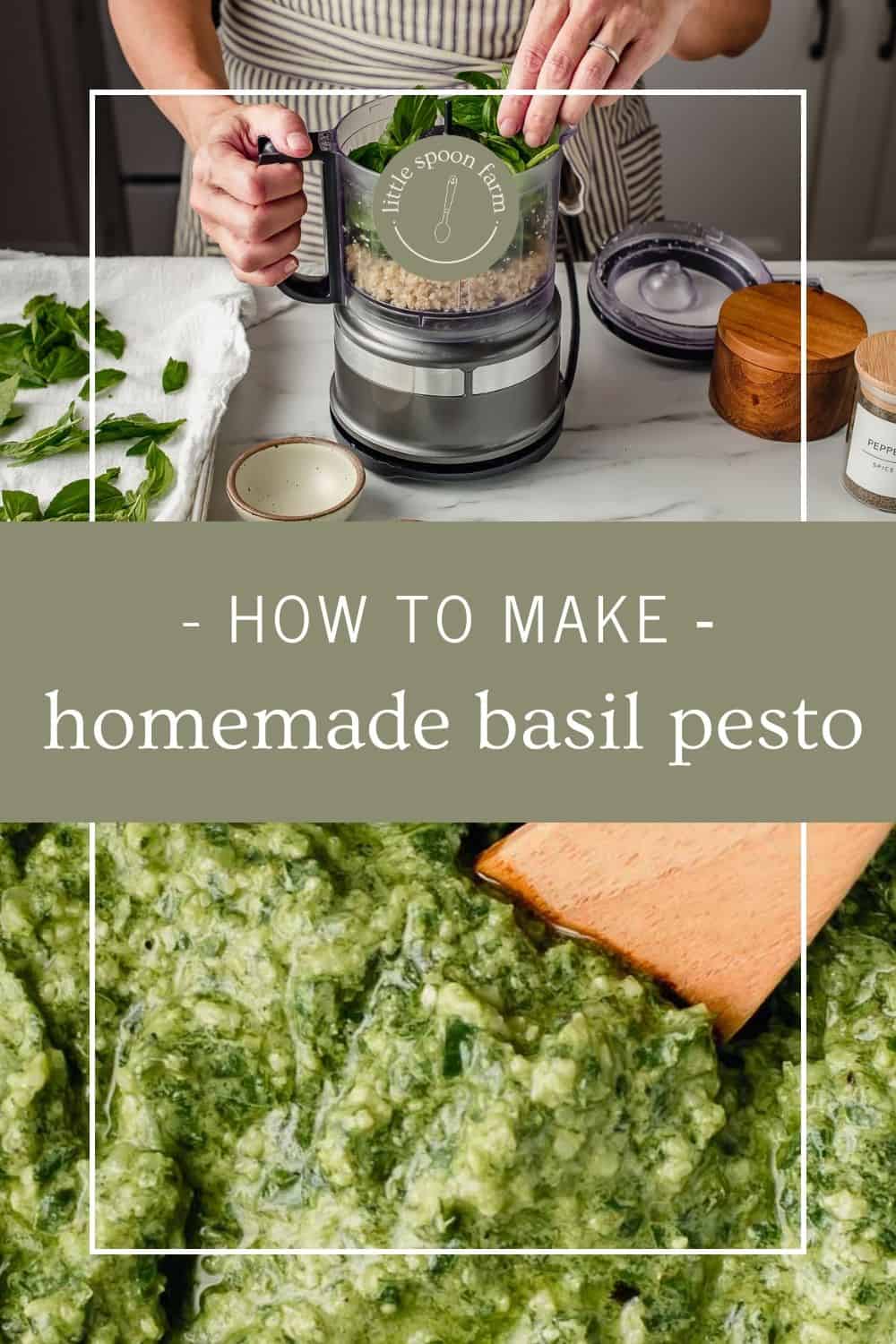 Easy Homemade Pesto Recipe - Little Spoon Farm