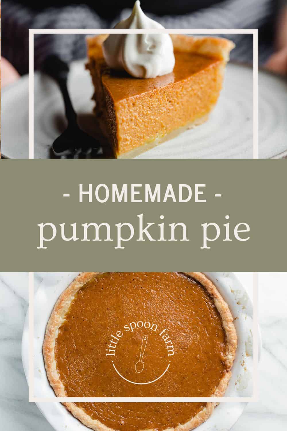 Easy Pumpkin Pie Recipe - Little Spoon Farm