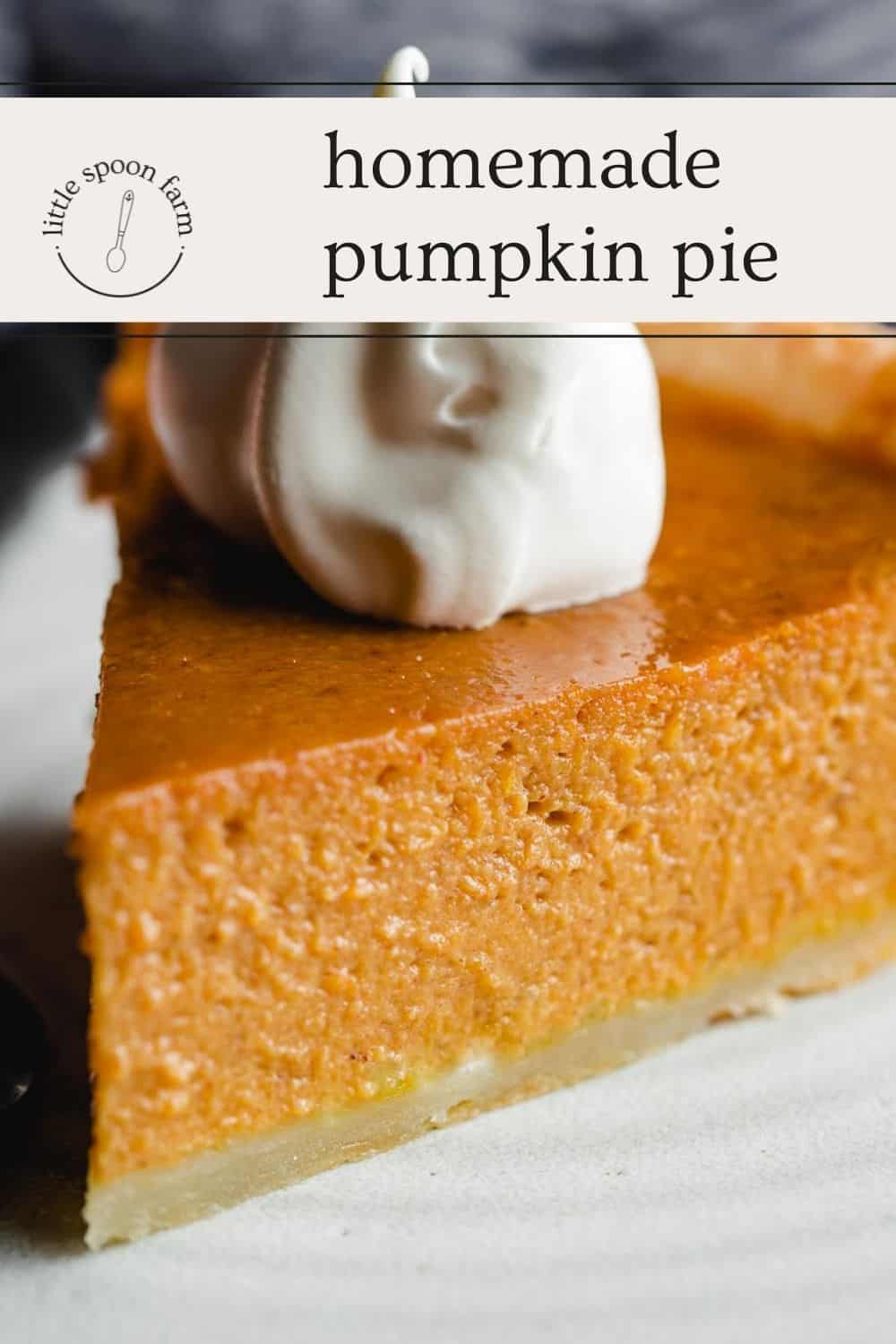 Easy Pumpkin Pie Recipe - Little Spoon Farm