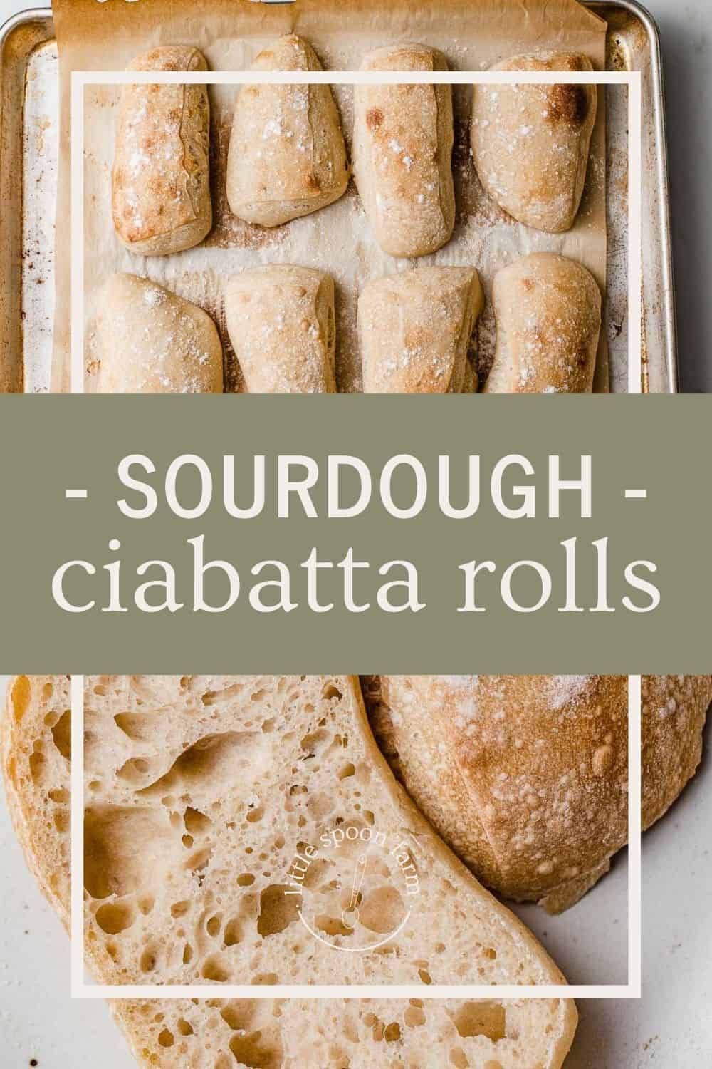 Easy Sourdough Ciabatta Rolls Recipe - Little Spoon Farm