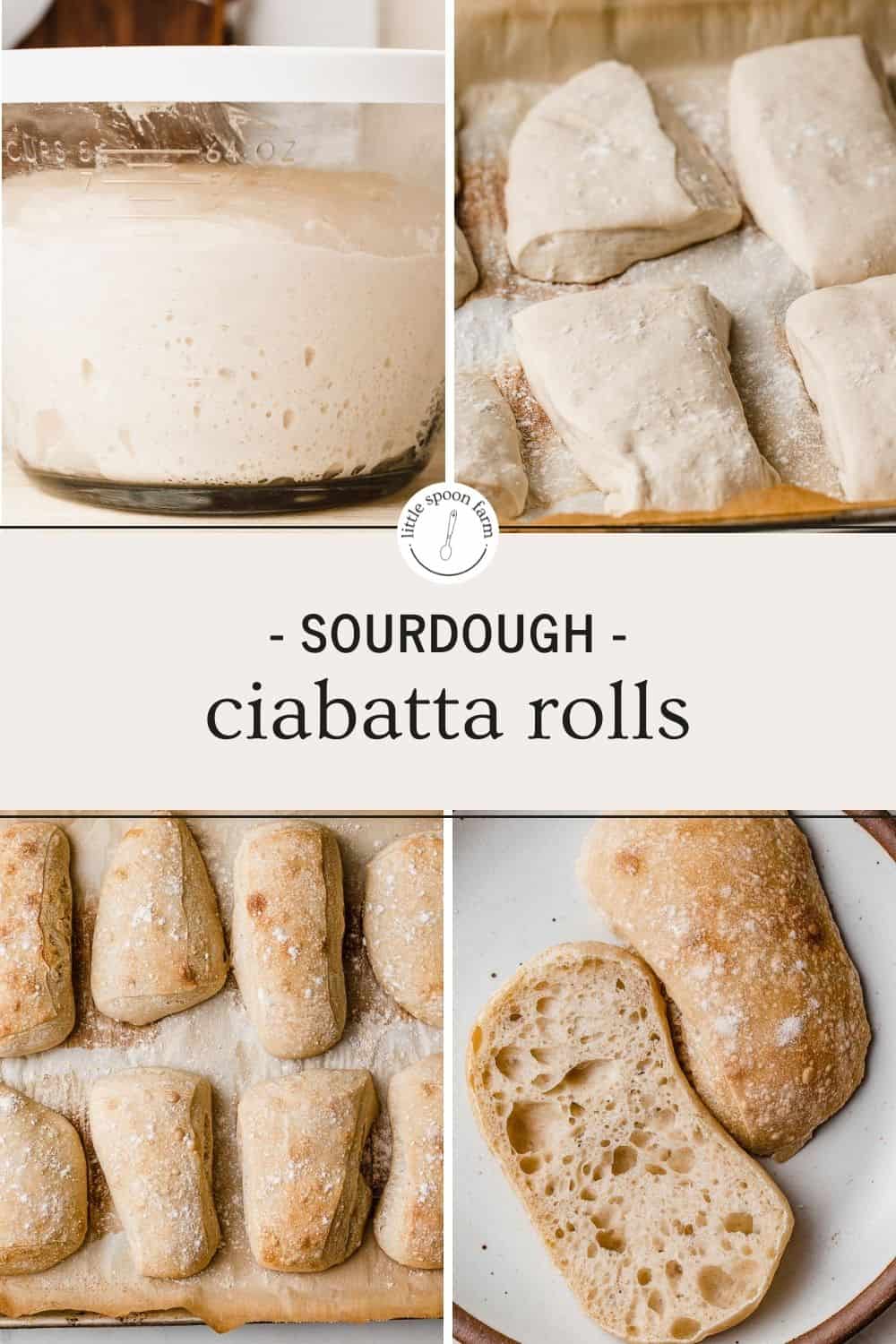 Easy Sourdough Ciabatta Rolls Recipe - Little Spoon Farm