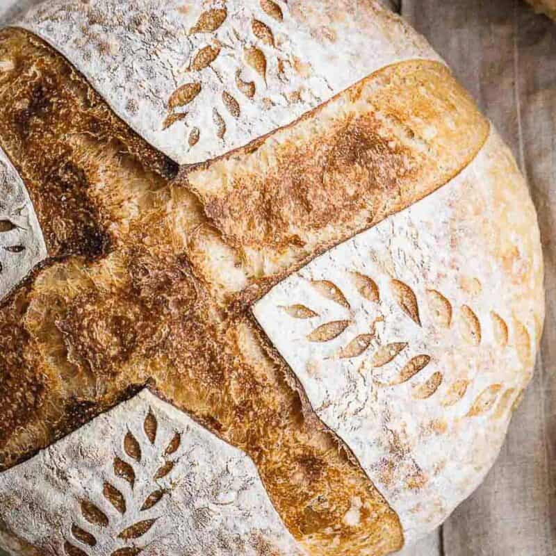 About - Little Spoon Farm