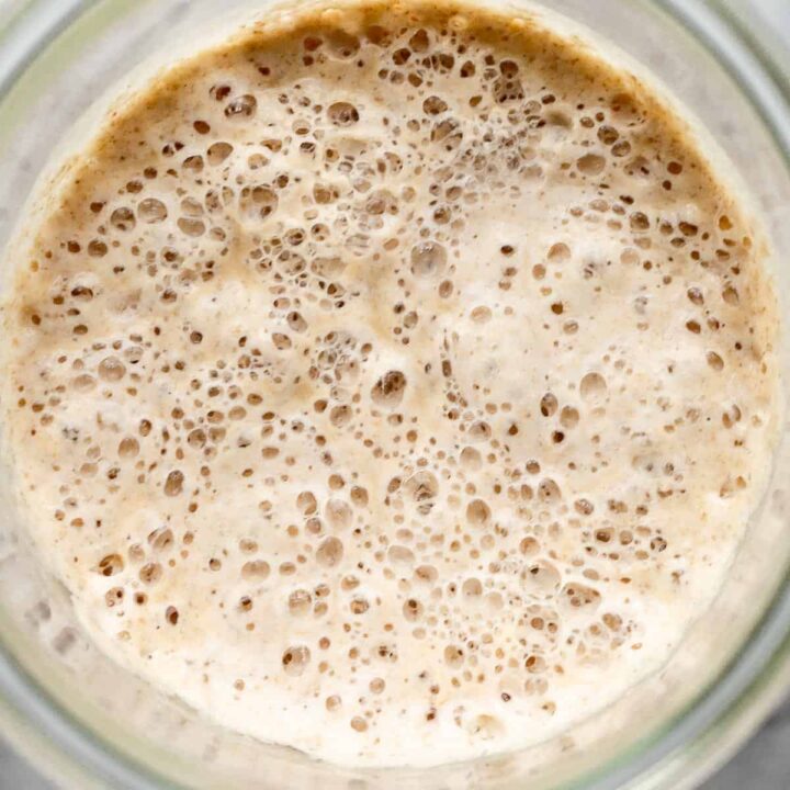 Easy Sourdough Starter Recipe for Beginners - Little Spoon Farm