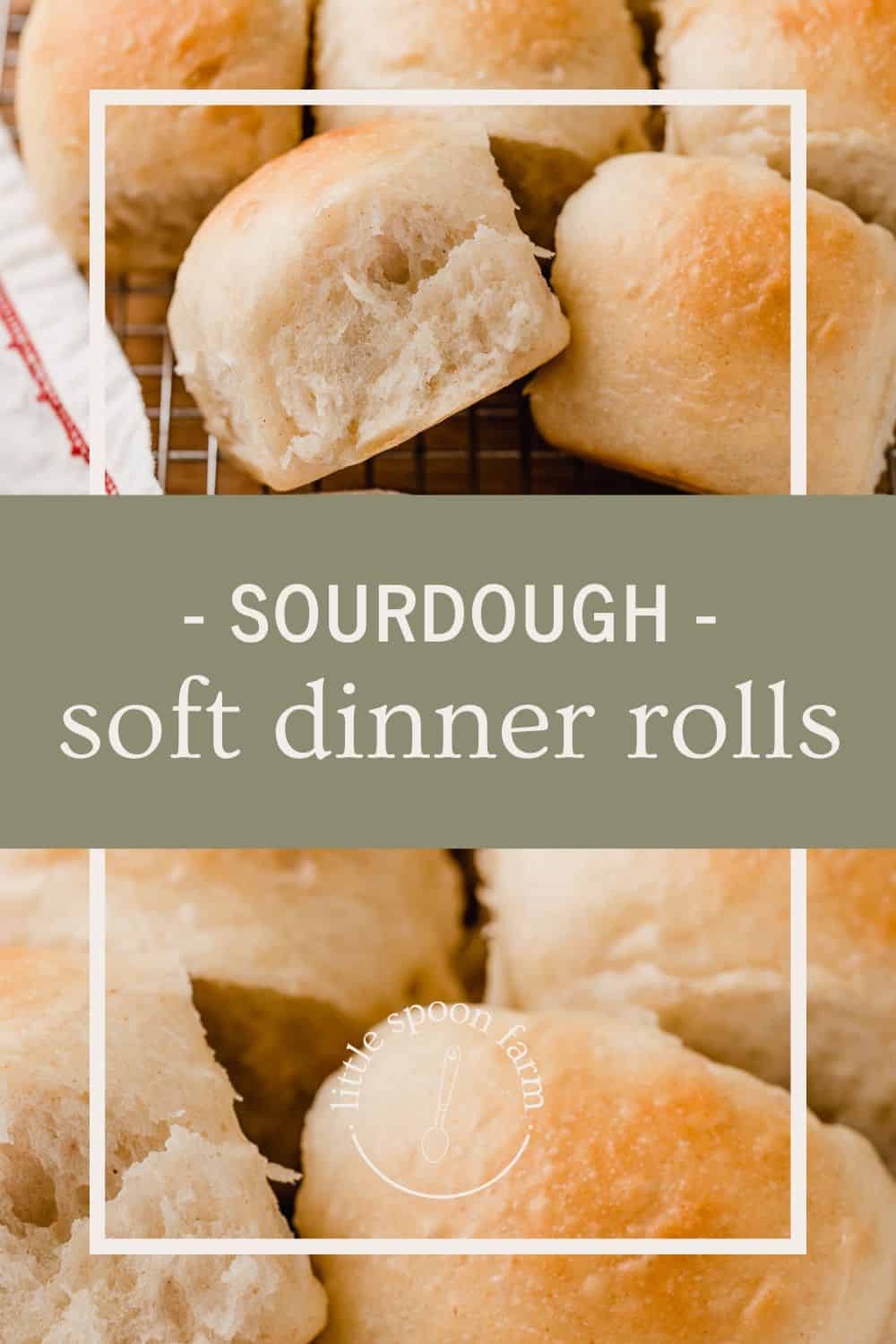 Soft Sourdough Dinner Rolls Recipe - Little Spoon Farm