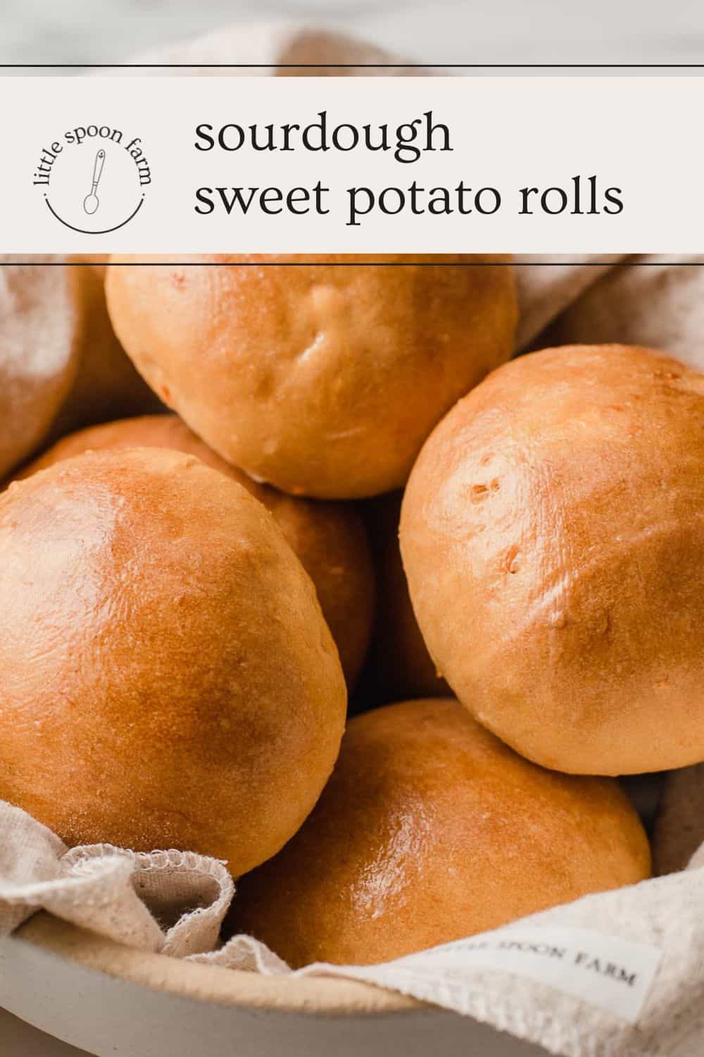 Sourdough Sweet Potato Rolls - Little Spoon Farm