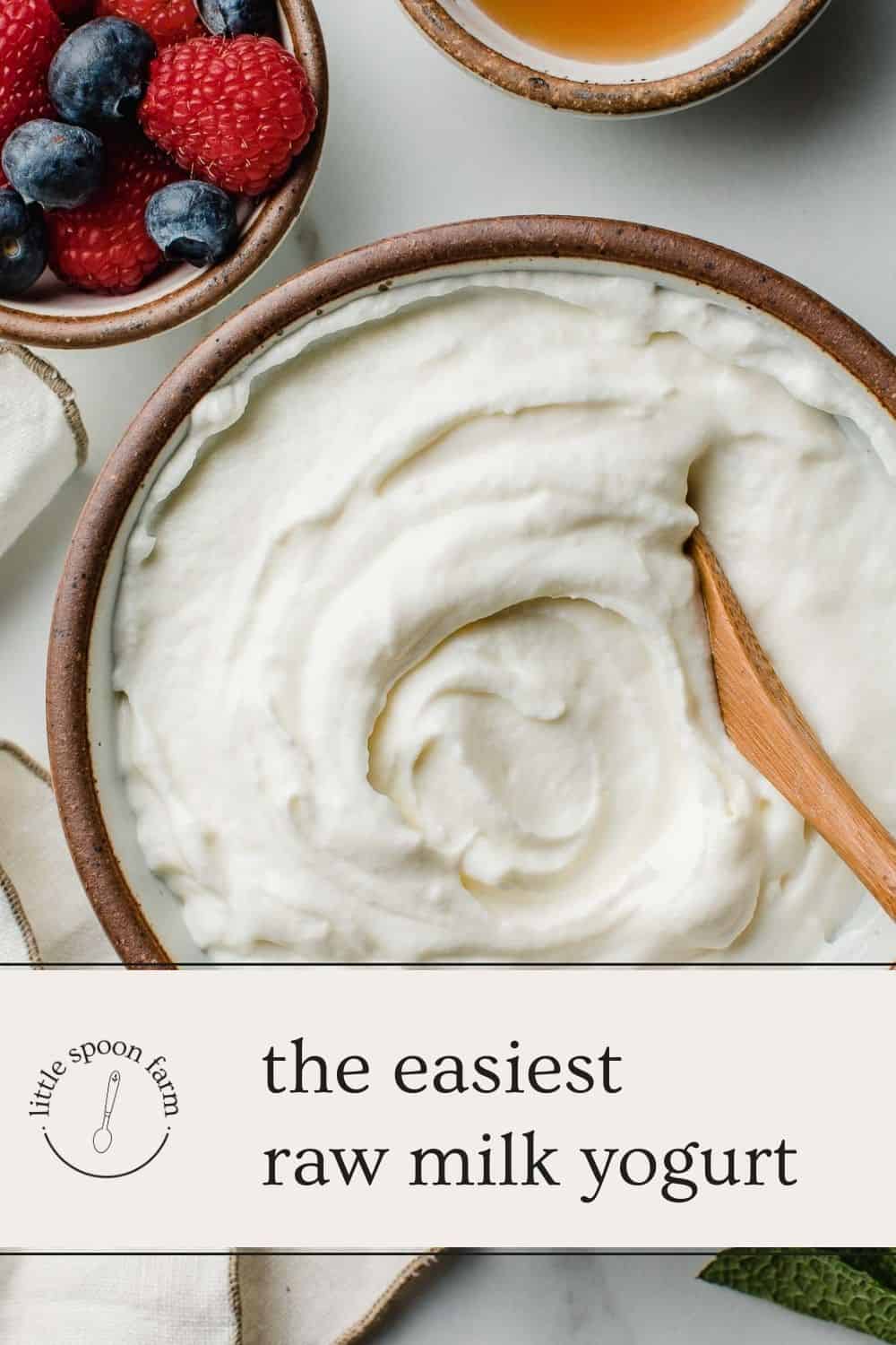 Easy Raw Milk Yogurt - Little Spoon Farm