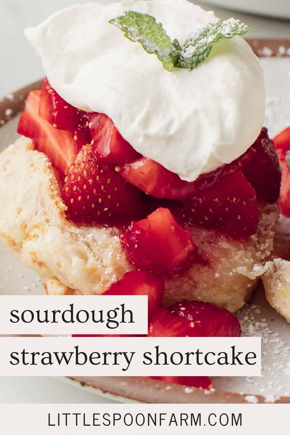 Sourdough Strawberry Shortcake - Little Spoon Farm