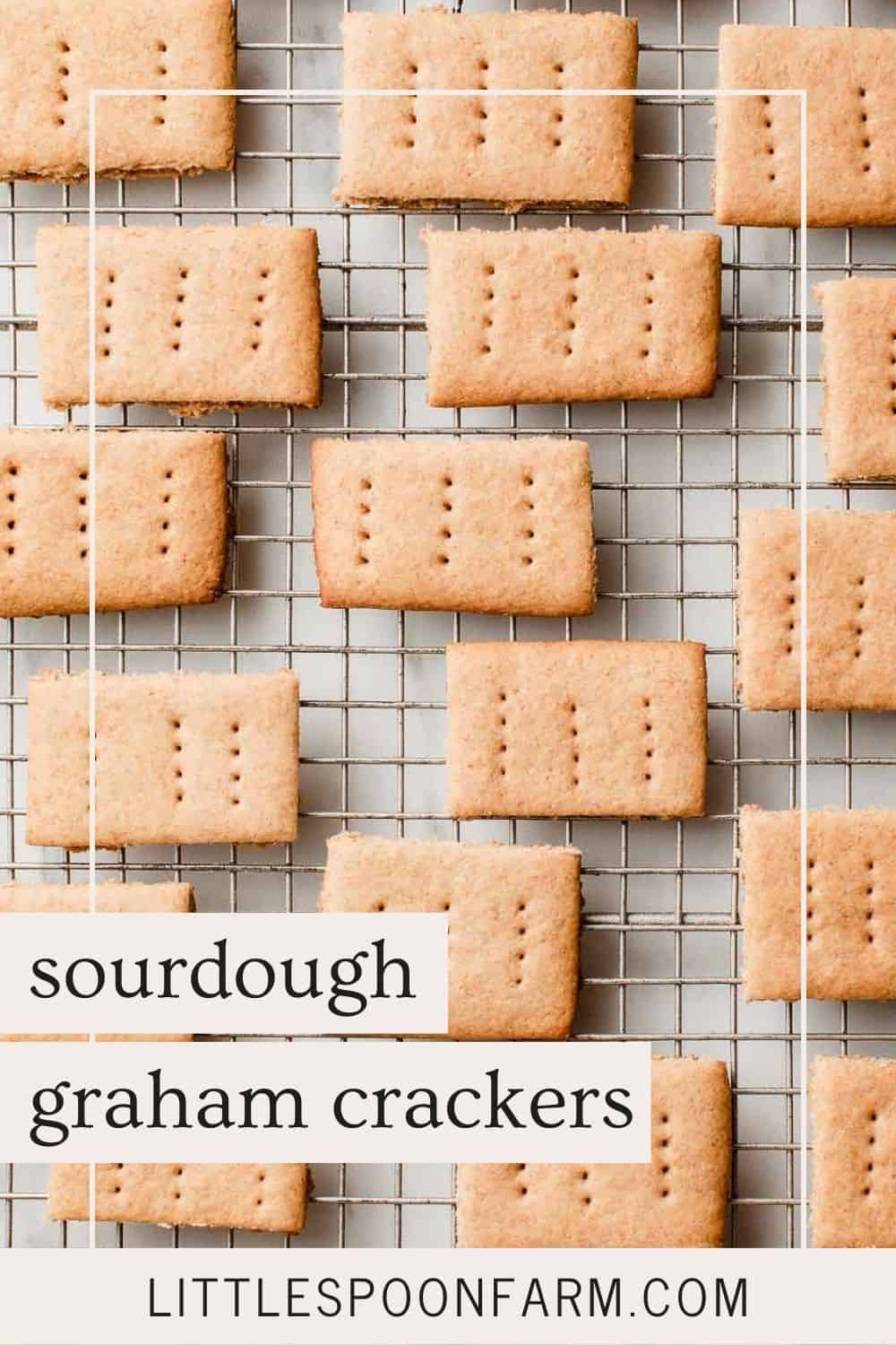Sourdough Graham Crackers - Little Spoon Farm