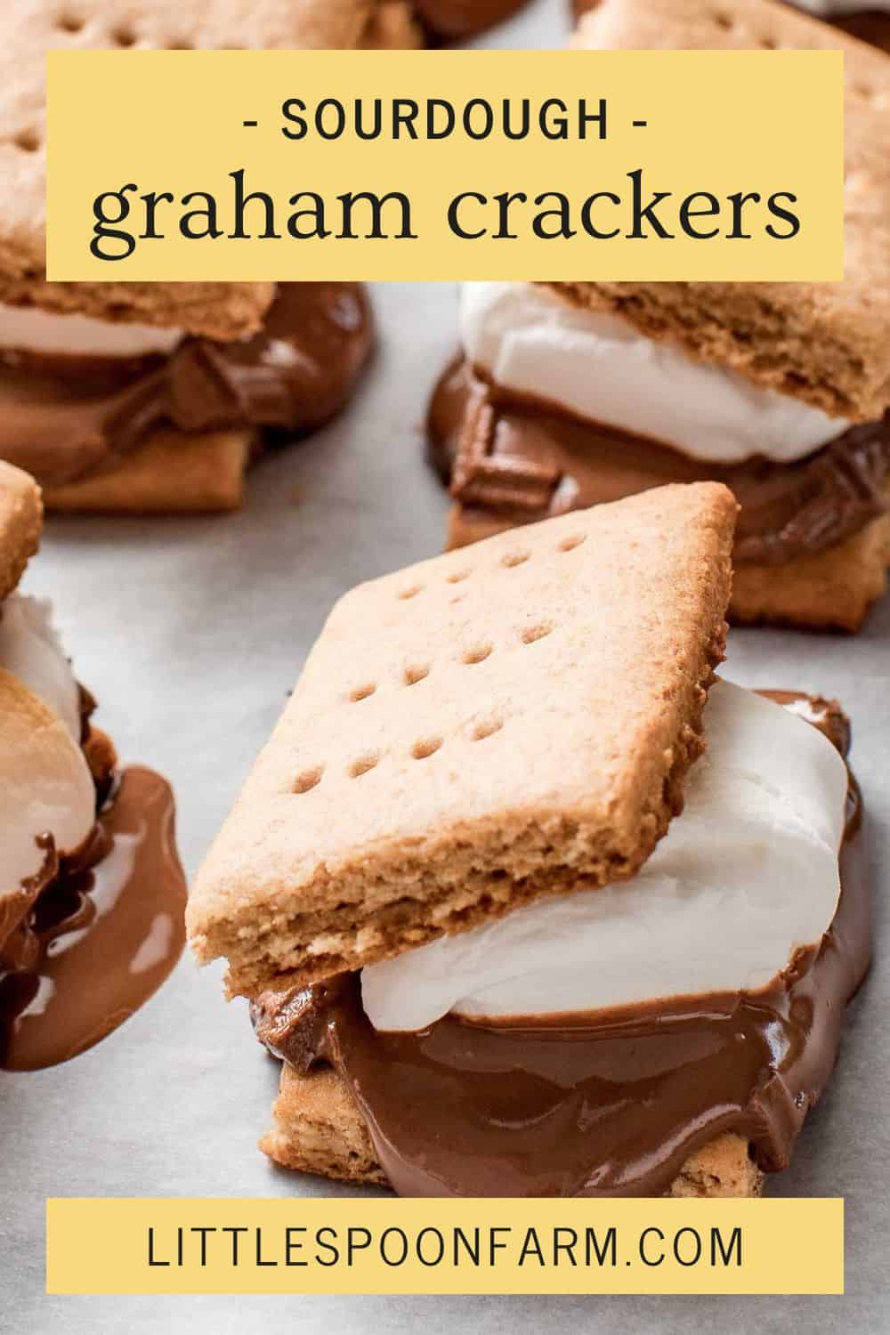 Sourdough Graham Crackers for S'mores - Little Spoon Farm