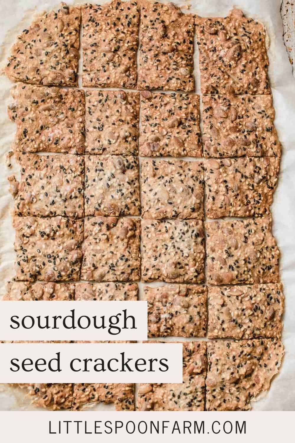 Sourdough Seed Crackers - Little Spoon Farm