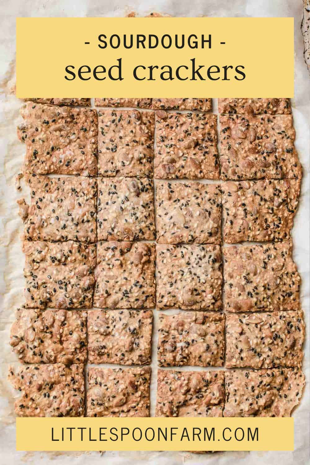 Sourdough Seed Crackers - Little Spoon Farm