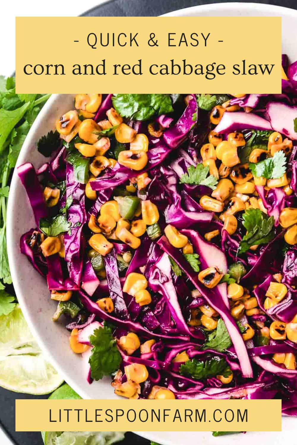 Corn and Red Cabbage Slaw - Little Spoon Farm