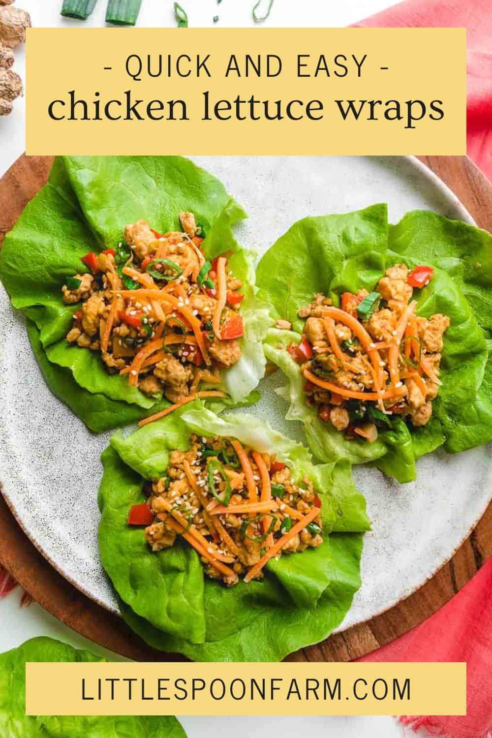 Chicken Lettuce Wraps (Better than PF Changs!) - Little Spoon Farm