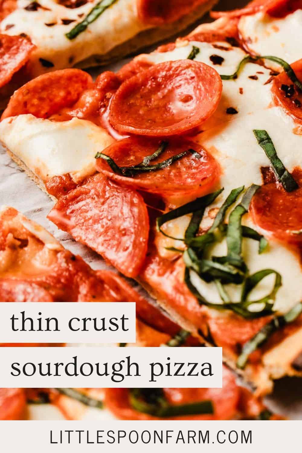 Thin Crust Sourdough Pizza (Only 1 Ingredient!) - Little Spoon Farm