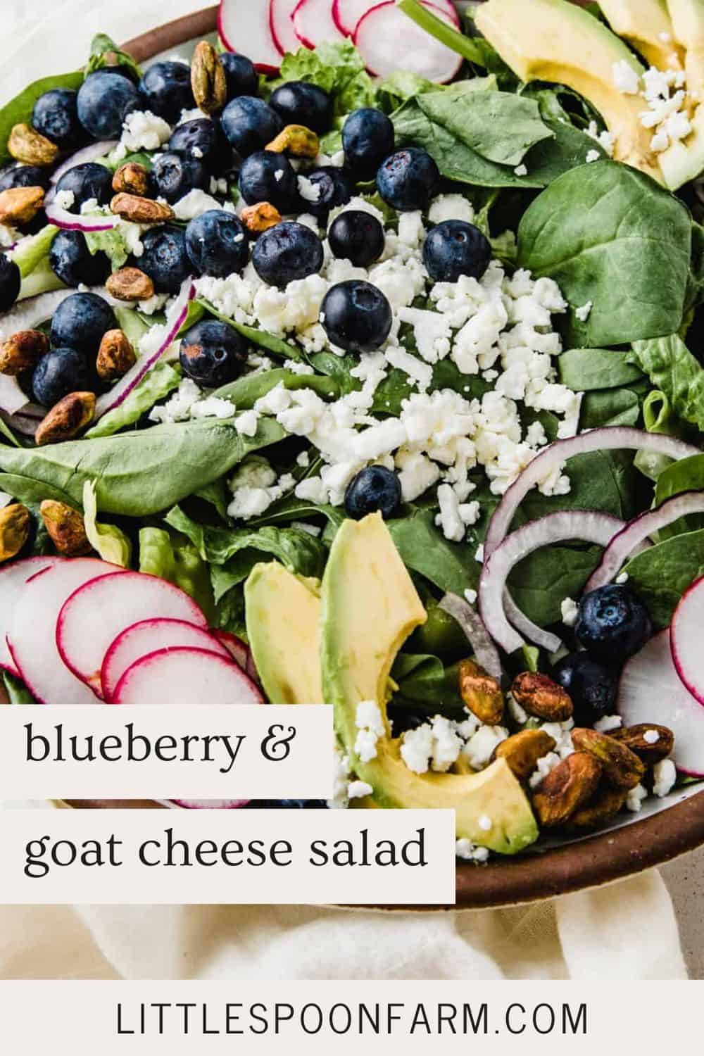 Blueberry Goat Cheese Spinach Salad - Little Spoon Farm