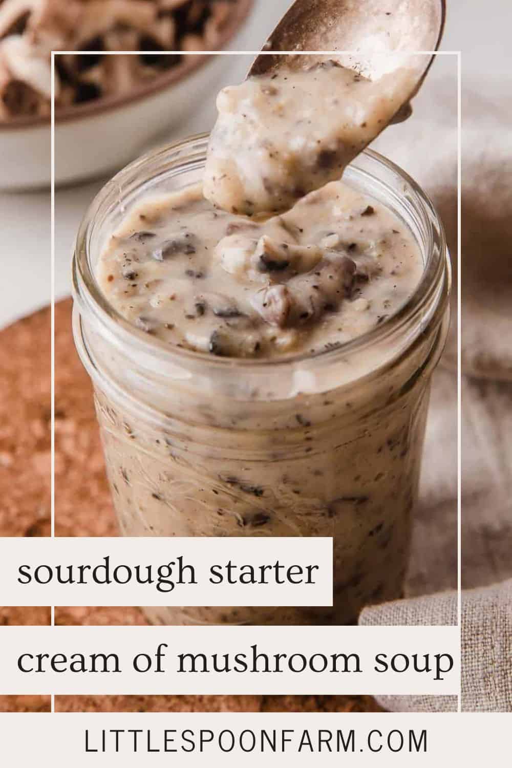 Condensed Cream of Mushroom Soup made with Sourdough Starter - Little ...