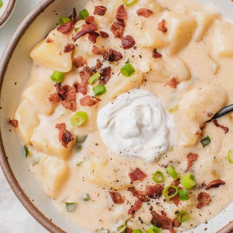 Condensed Cream of Chicken Soup made with Sourdough Starter - Little ...