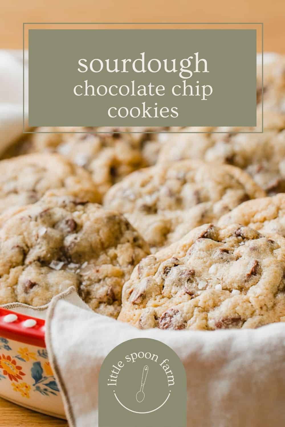 Sourdough Chocolate Chip Cookies {Soft and Chewy} - Little Spoon Farm